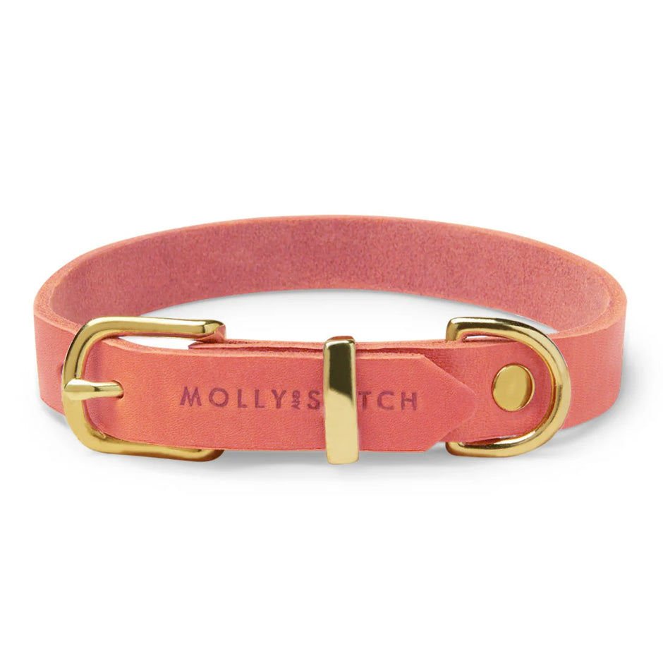 LEATHER COLLARS – Molly and Stitch B2B EU